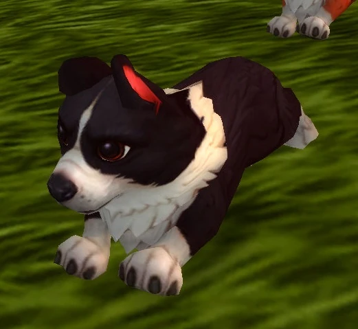 Nom - Wowpedia - Your wiki guide to the World of Warcraft