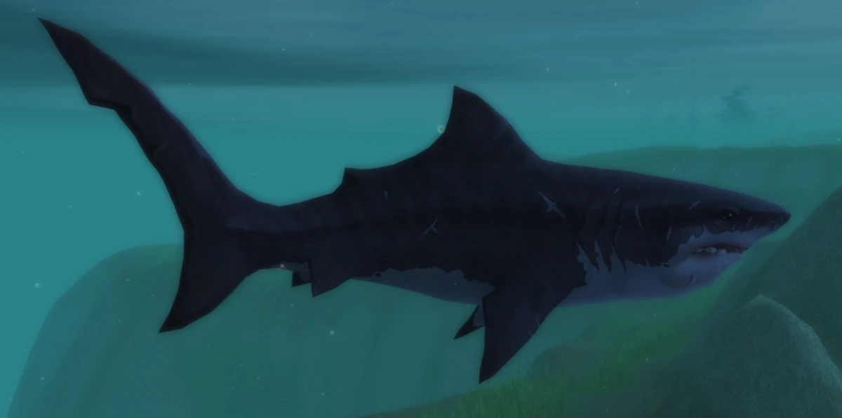 Coral Shark - Wowpedia - Your wiki guide to the World of Warcraft