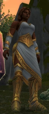 The Princess Unleashed (Alliance) - Wowpedia - Your wiki guide to the ...