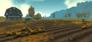 Westfall - Wowpedia - Your wiki guide to the World of Warcraft