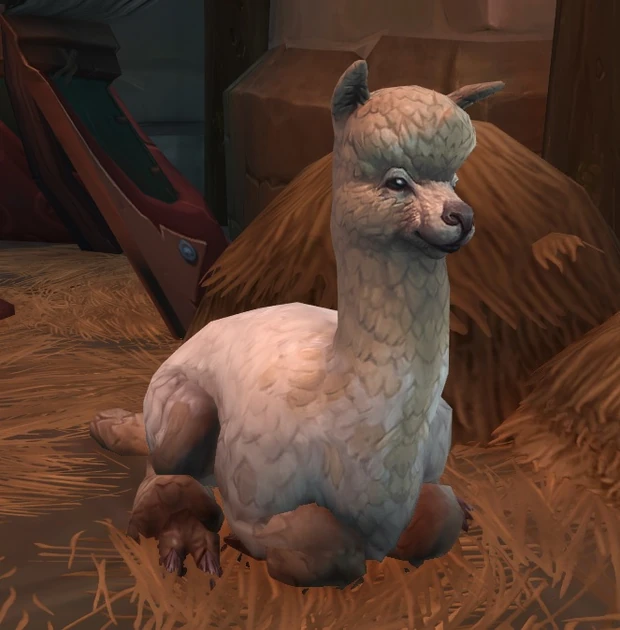 Domestic Alpaca - Wowpedia - Your wiki guide to the World of Warcraft