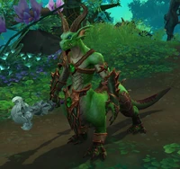 Elder Boughweaver (Emerald Dream) - Wowpedia - Your wiki guide to the ...