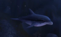 Juvenile Tideskipper - Wowpedia - Your wiki guide to the World of Warcraft