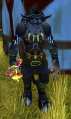 Seer Ravenfeather - Wowpedia - Your wiki guide to the World of Warcraft