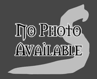 Spawn of Fankriss - Wowpedia - Your wiki guide to the World of Warcraft