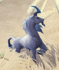 Stray Cloudracer - Wowpedia - Your wiki guide to the World of Warcraft