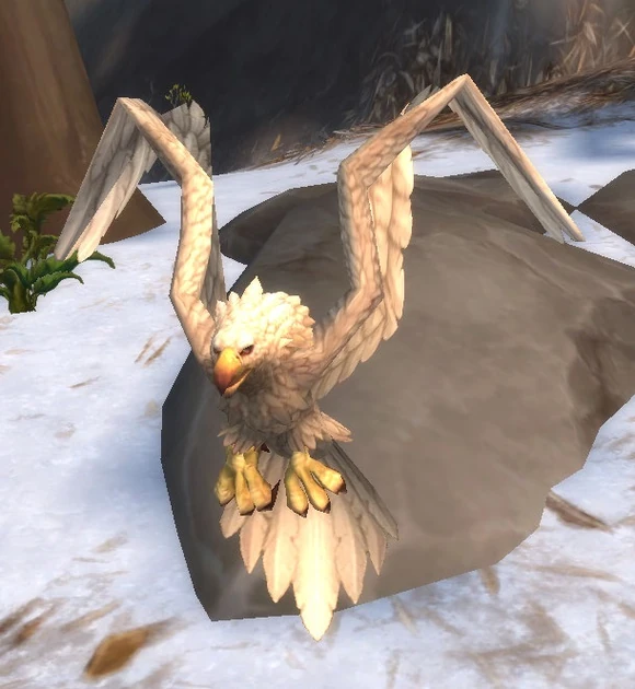 Snowfeather - Wowpedia - Your wiki guide to the World of Warcraft