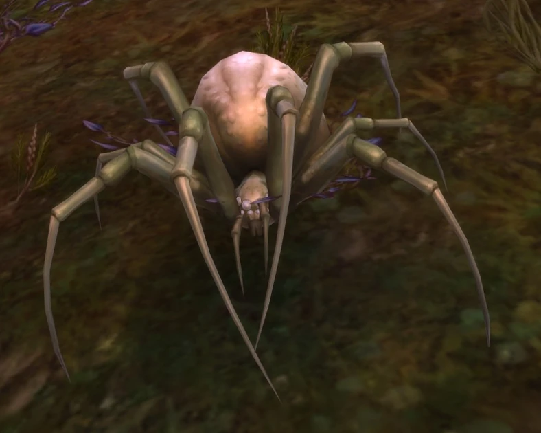 Young Night Web Spider - Wowpedia - Your wiki guide to the World of ...