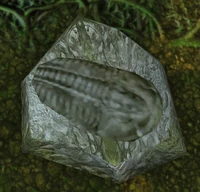 Ancient Fossil - Wowpedia - Your wiki guide to the World of Warcraft