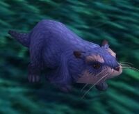Mongoose (critter) - Wowpedia - Your wiki guide to the World of Warcraft