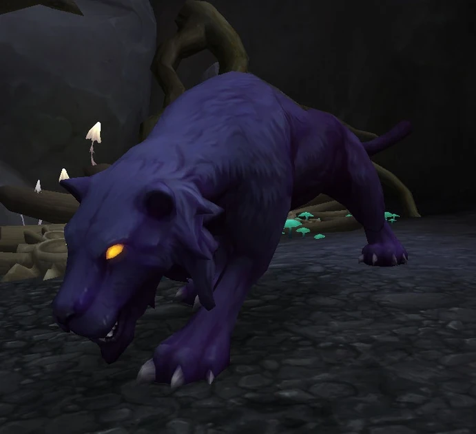 Rashar - Wowpedia - Your wiki guide to the World of Warcraft