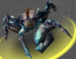 Encrusted Tide Crawler - Wowpedia - Your wiki guide to the World of ...