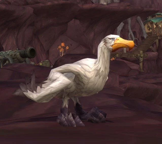 Cove Seagull (Vol'dun) - Wowpedia - Your wiki guide to the World of ...