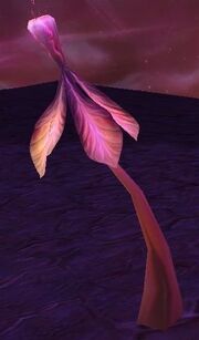 Netherbloom - Wowpedia - Your wiki guide to the World of Warcraft