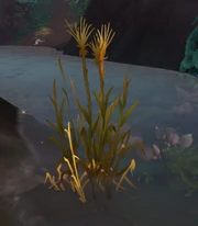 Hollow Reeds - Wowpedia - Your wiki guide to the World of Warcraft