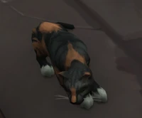 Katrixa - Wowpedia - Your wiki guide to the World of Warcraft