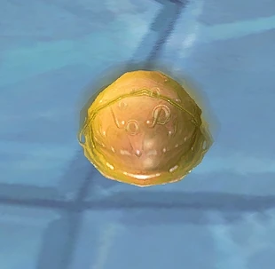 Amber Goo Puddle - Wowpedia - Your wiki guide to the World of Warcraft