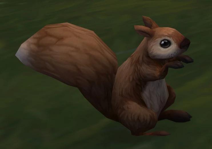 Valley Squirrel - Wowpedia - Your wiki guide to the World of Warcraft