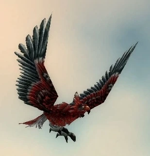 Monstrous Macaw - Wowpedia - Your wiki guide to the World of Warcraft