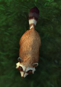 Masked Tanuki Pup - Wowpedia - Your wiki guide to the World of Warcraft