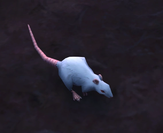 Scrawny Rat - Wowpedia - Your wiki guide to the World of Warcraft
