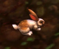 Mottled Rabbit - Wowpedia - Your wiki guide to the World of Warcraft
