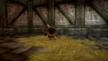 Wrathion - Wowpedia - Your wiki guide to the World of Warcraft