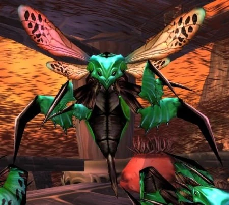 Hive'Ashi Ambusher - Wowpedia - Your wiki guide to the World of Warcraft