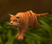 Tabbi - Wowpedia - Your wiki guide to the World of Warcraft