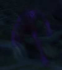 Hallucination - Wowpedia - Your wiki guide to the World of Warcraft