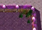 Worm War - Wowpedia - Your wiki guide to the World of Warcraft