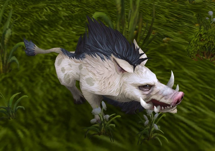 Stonetusk Boar - Wowpedia - Your wiki guide to the World of Warcraft