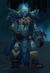 Soulguard Bonecaster - Wowpedia - Your wiki guide to the World of Warcraft