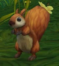 Woodland Squirrel - Wowpedia - Your wiki guide to the World of Warcraft