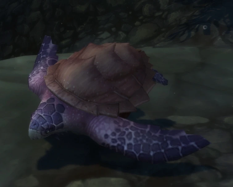 Sea Turtle (Forbidden Reach) - Wowpedia - Your wiki guide to the World ...