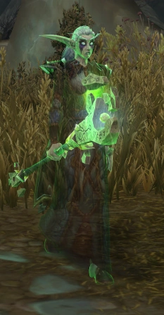 Felbound Spirit - Wowpedia - Your wiki guide to the World of Warcraft