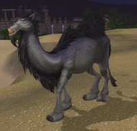 Camel (Uldum) - Wowpedia - Your wiki guide to the World of Warcraft
