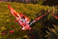Shimmerwing Mothling - Wowpedia - Your wiki guide to the World of Warcraft