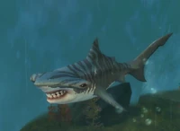 Reef Hammerhead - Wowpedia - Your wiki guide to the World of Warcraft