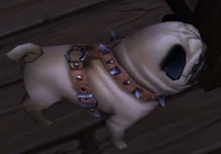 Pug (NPC) - Wowpedia - Your wiki guide to the World of Warcraft
