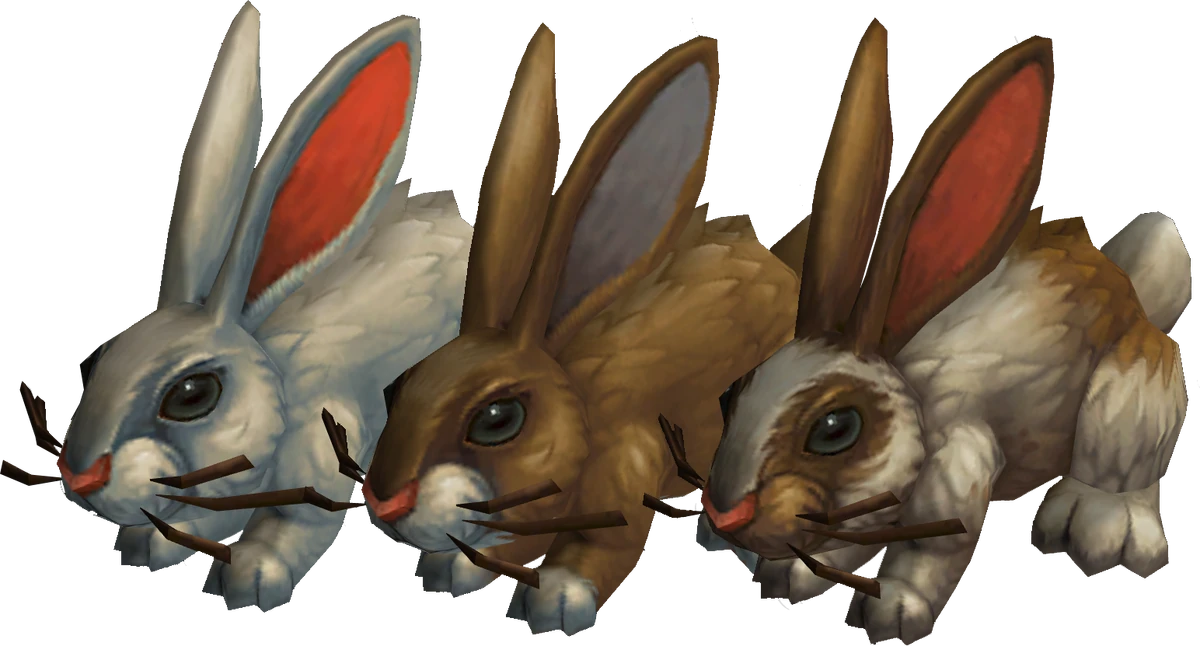 Rabbit - Wowpedia - Your wiki guide to the World of Warcraft