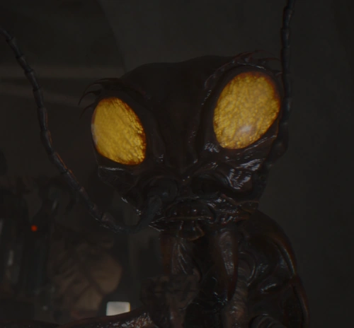 Mandible | WoWq Wiki | Fandom