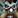 Darkspear tribe | WoWWiki | Fandom