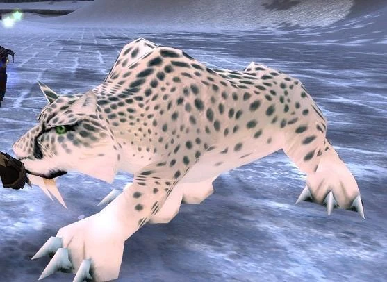 Frost Leopard | WoWWiki | Fandom