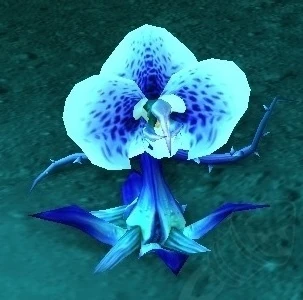 Bloom | WoWWiki | Fandom