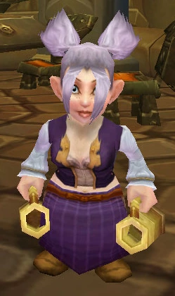 Inzi Charmlight | WoWWiki | Fandom