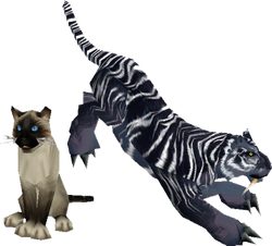 Feline | WoWWiki | Fandom