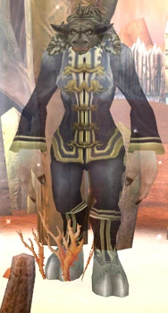 Elder Runetotem | WoWWiki | Fandom