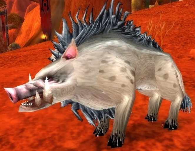 Mottled Boar | WoWWiki | Fandom