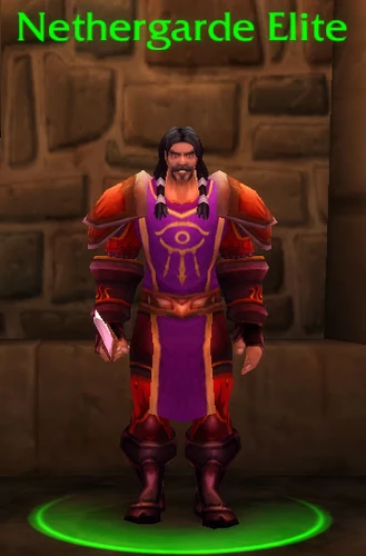 Nethergarde Elite | WoWWiki | Fandom